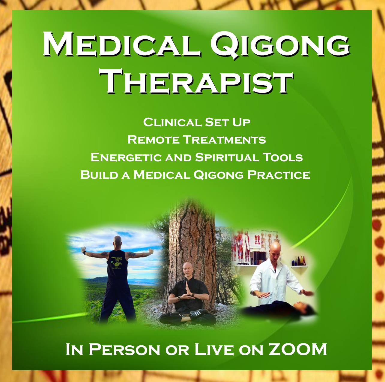 Medical Qigong Therpaist* with Sifu JC - 24 Weeks – Golden Dragon Arts Shop